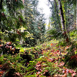 Colton se OnlyFans Profiel